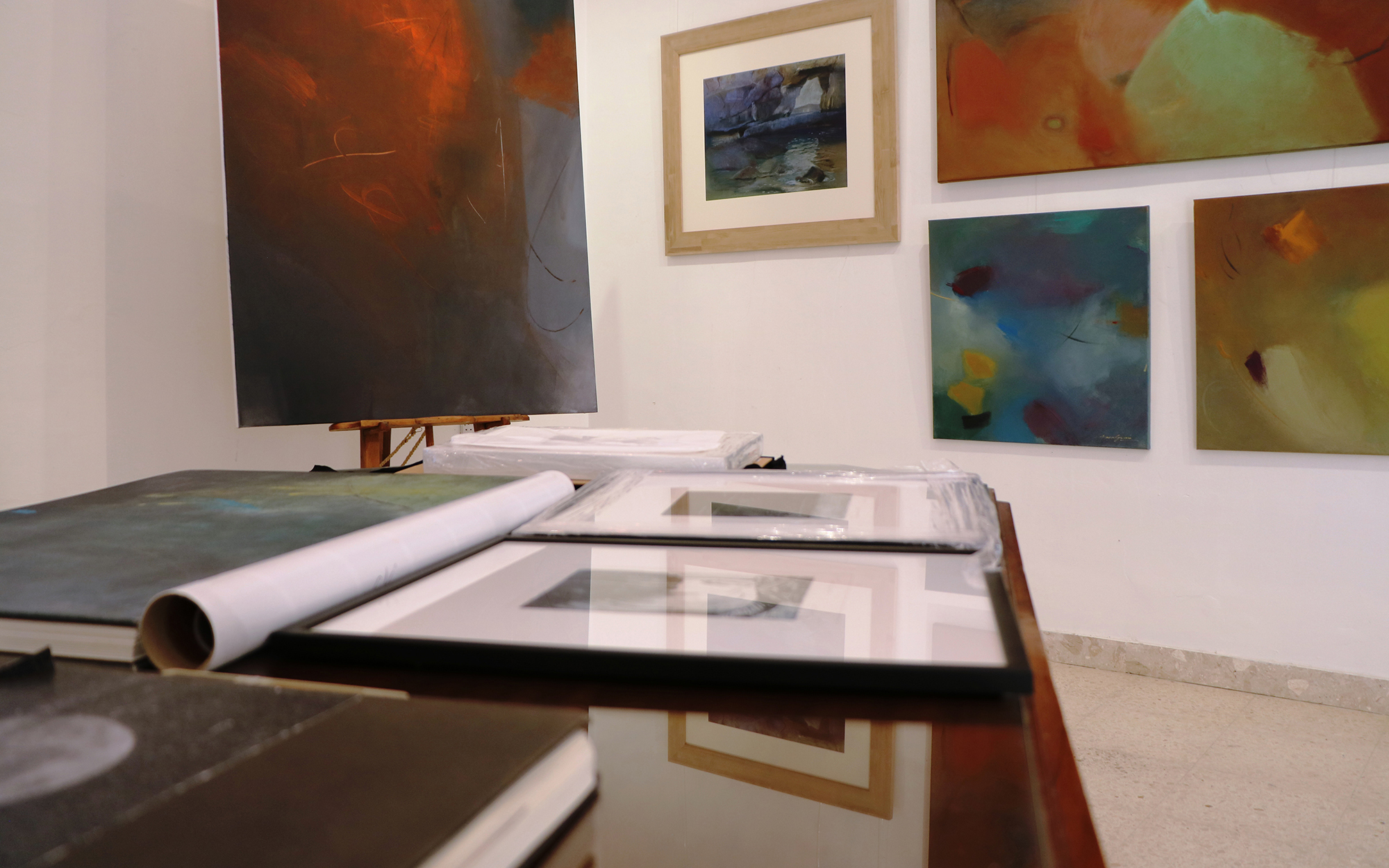 Biography – Anna Grima